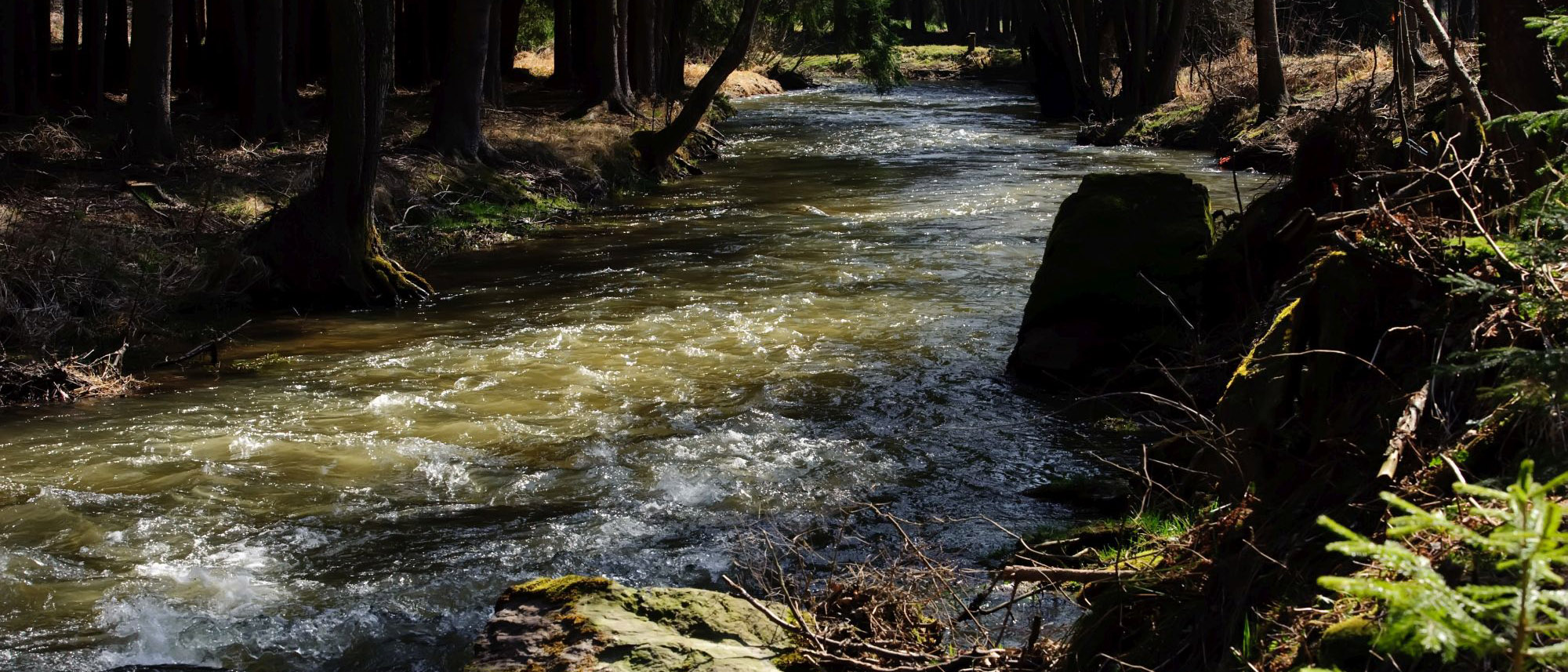 Taxenbach – Pleßberg